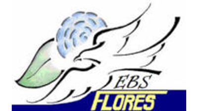 Escola Básica e Secundária das Flores